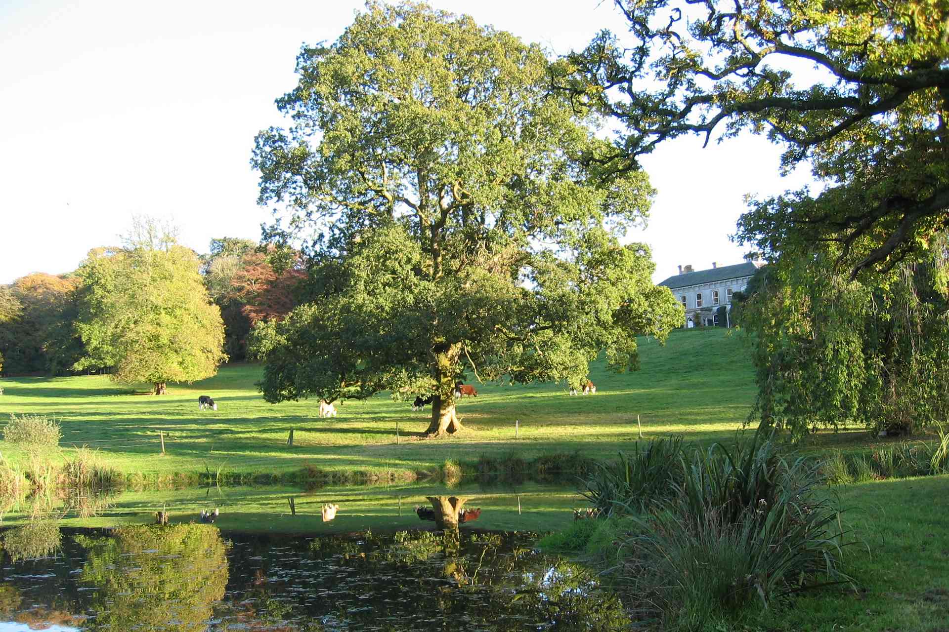 The Gloss - Lovely Lakeside Retreats in Ireland by Penny McCormick