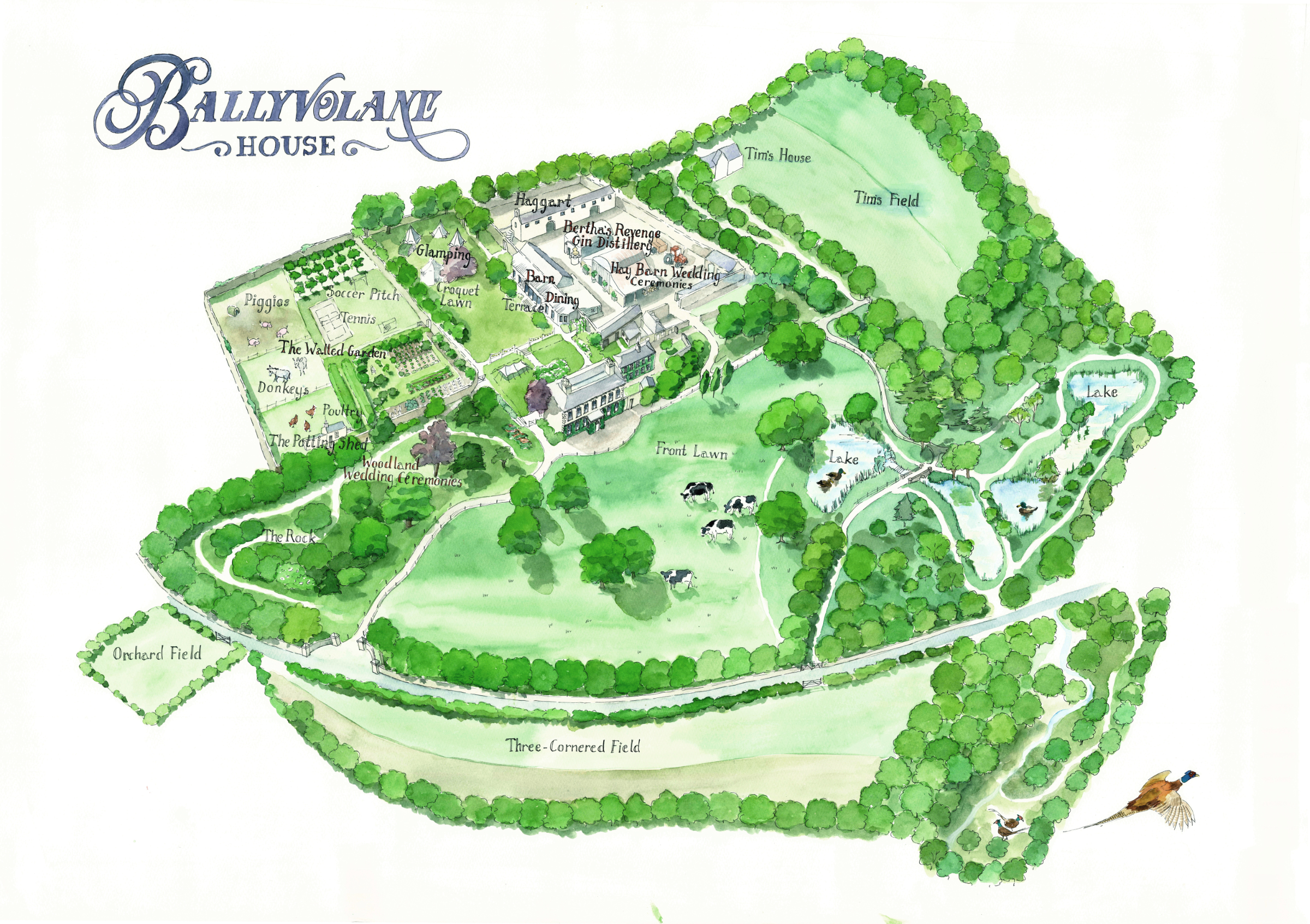 Luxury Country House Accommodation & Boutique Wedding Venue in Ireland